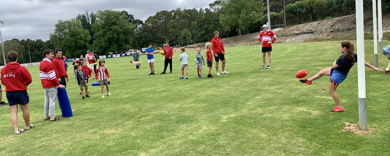 About | Mt Lofty Devils Football Club
