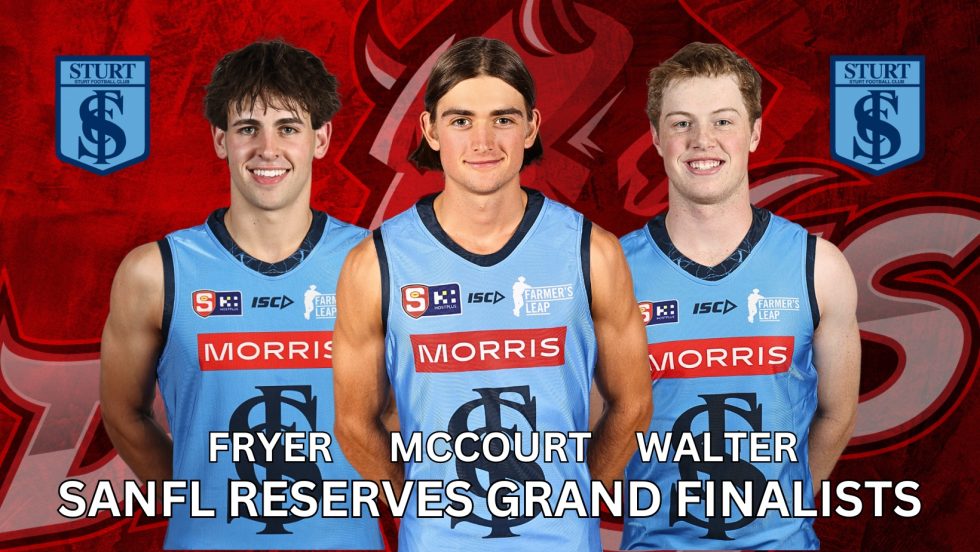 SANFL RESERVES GRAND FINALISTS | STURT | Mt Lofty Devils Wordpress